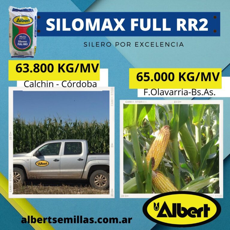 Silomax Full RR2 - Silero por Excelencia - Semillas Albert