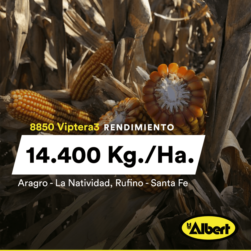 Maíz 8850 Viptera 3 - Semillas Albert